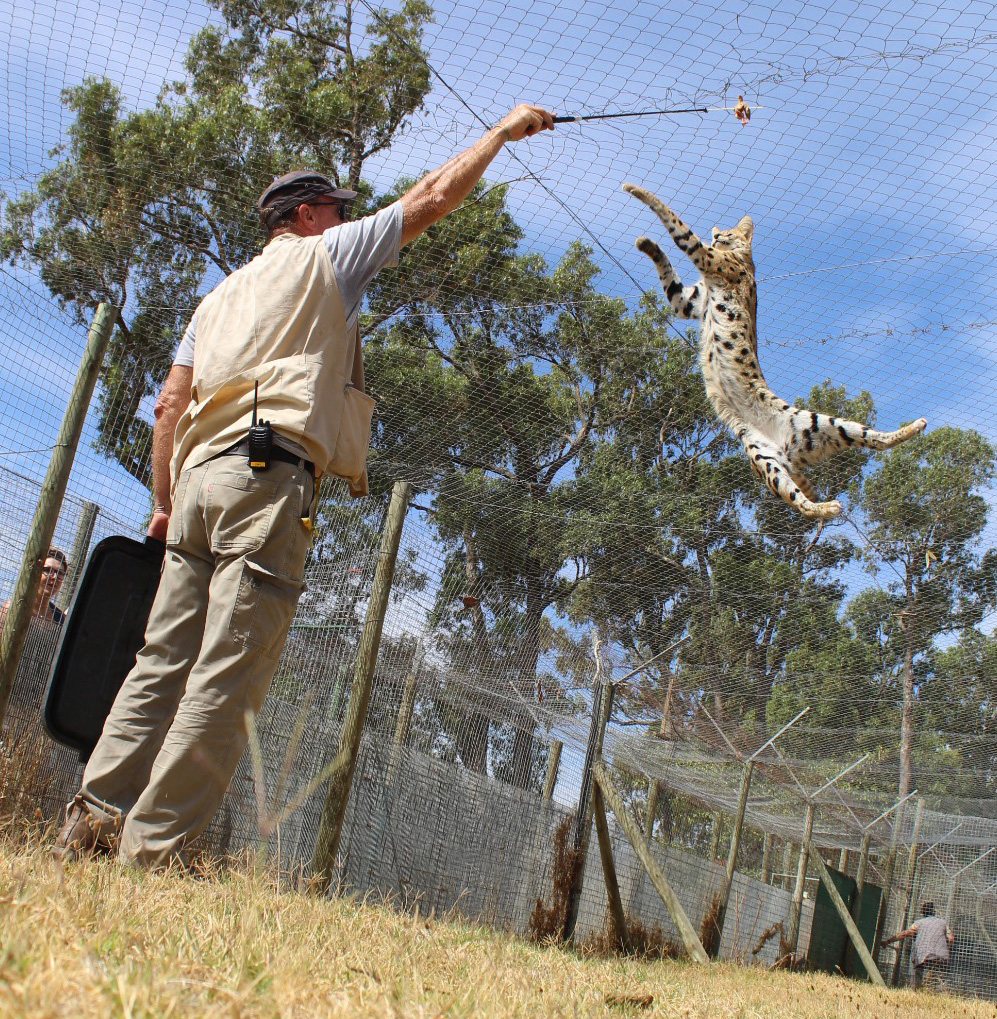 Visitor Information - Cheetah Outreach