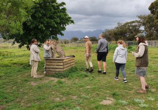 Visitor Information - Cheetah Outreach