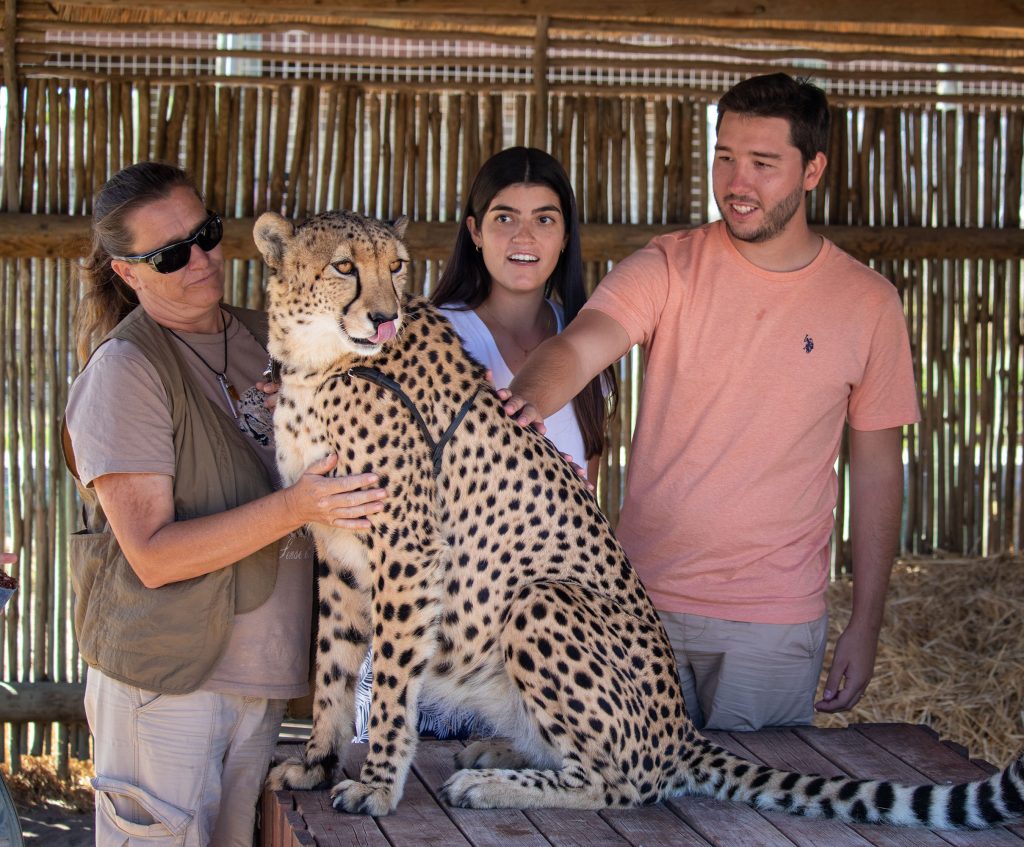 Visitor Information - Cheetah Outreach