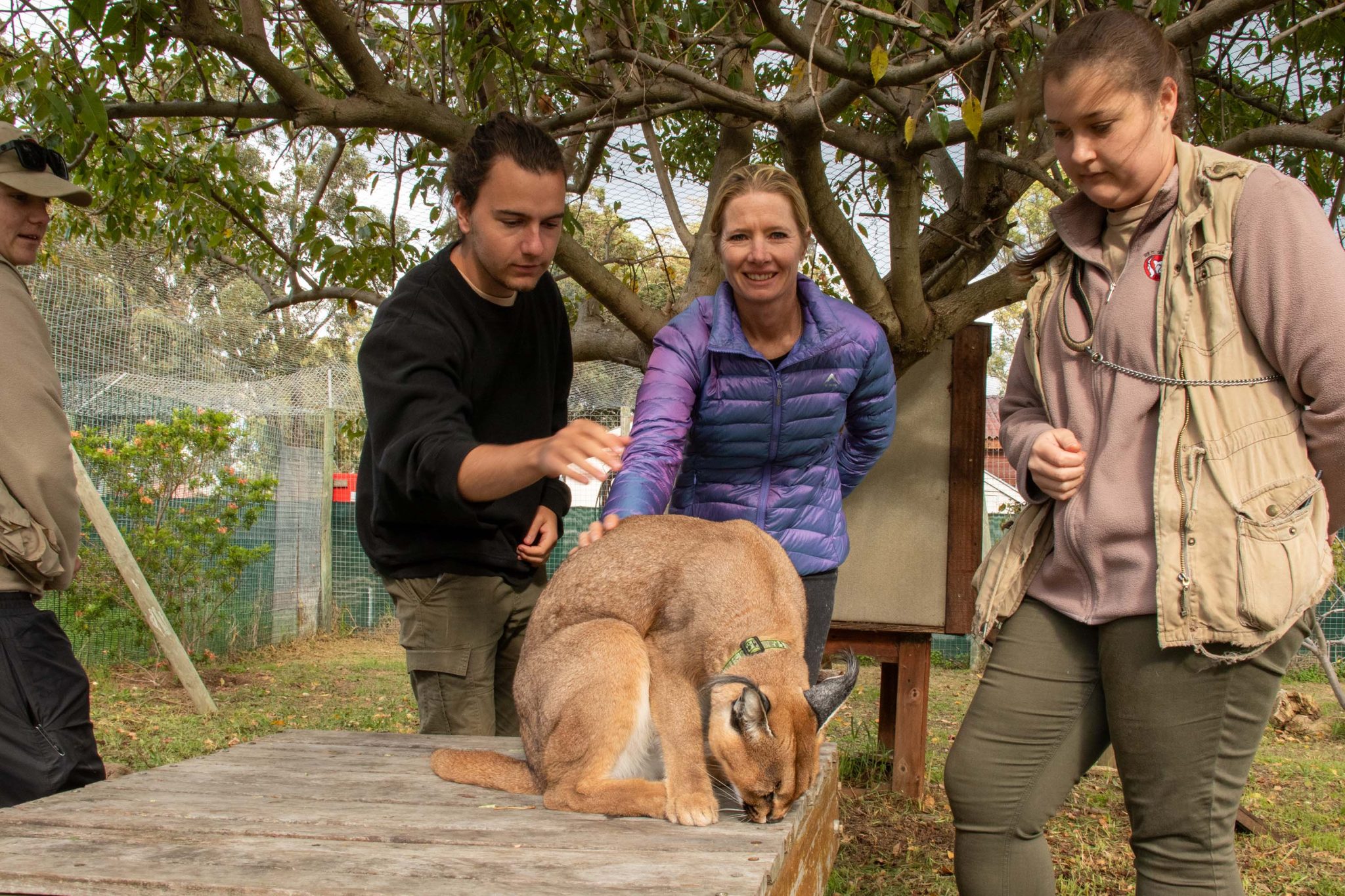 Visitor Information - Cheetah Outreach